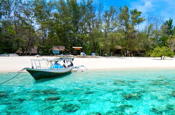 Honeychat | 101 Honeymoons